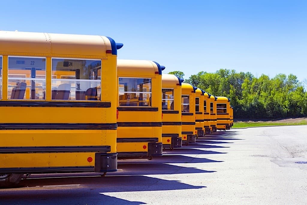 165 School Buses Infested with Cockroaches - School Transportation News