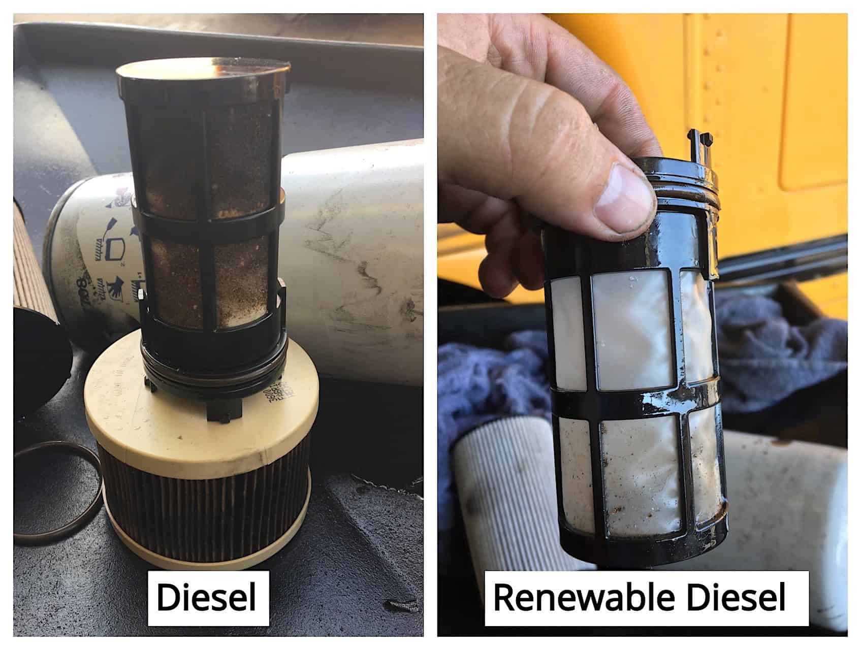 Renewable Diesel Grows in Popularity for School Buses - School ...