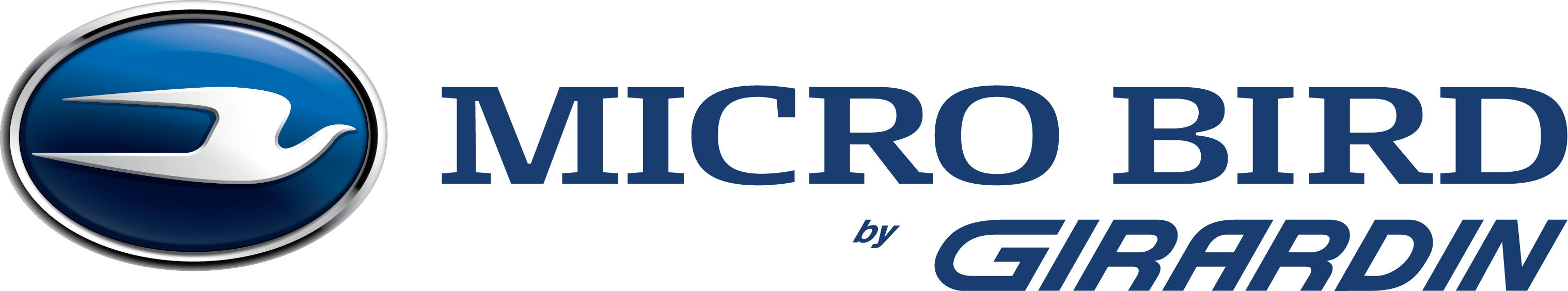 Micro Bird: Electrification, Growth and Efficiency - School ...